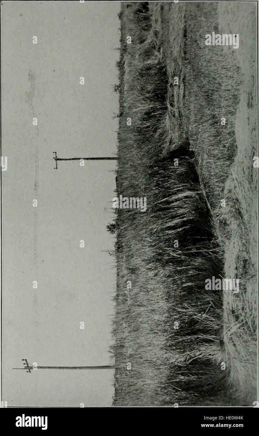 This 1918 bulletin features important information and updates from a ...