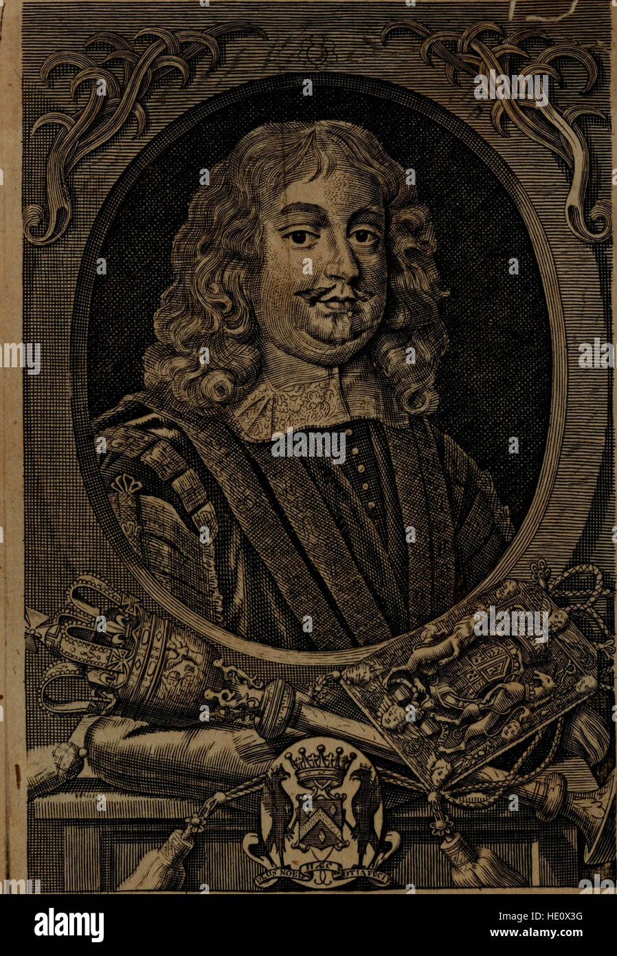 This historical work details the causes and key events of the English ...