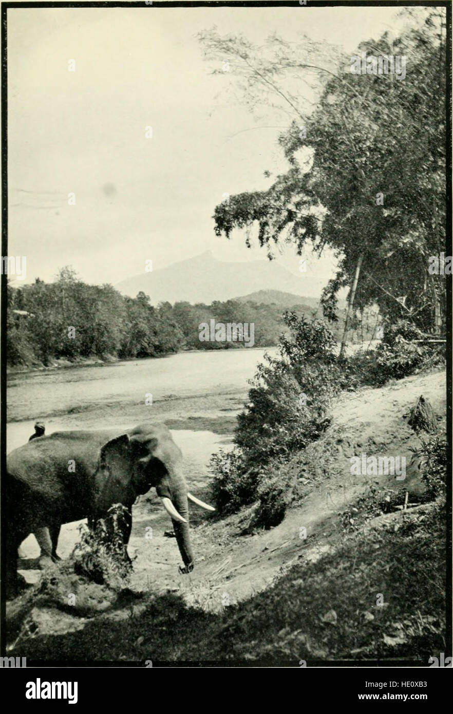 *In Old Ceylon* (1908) offers a historical account of the island of ...
