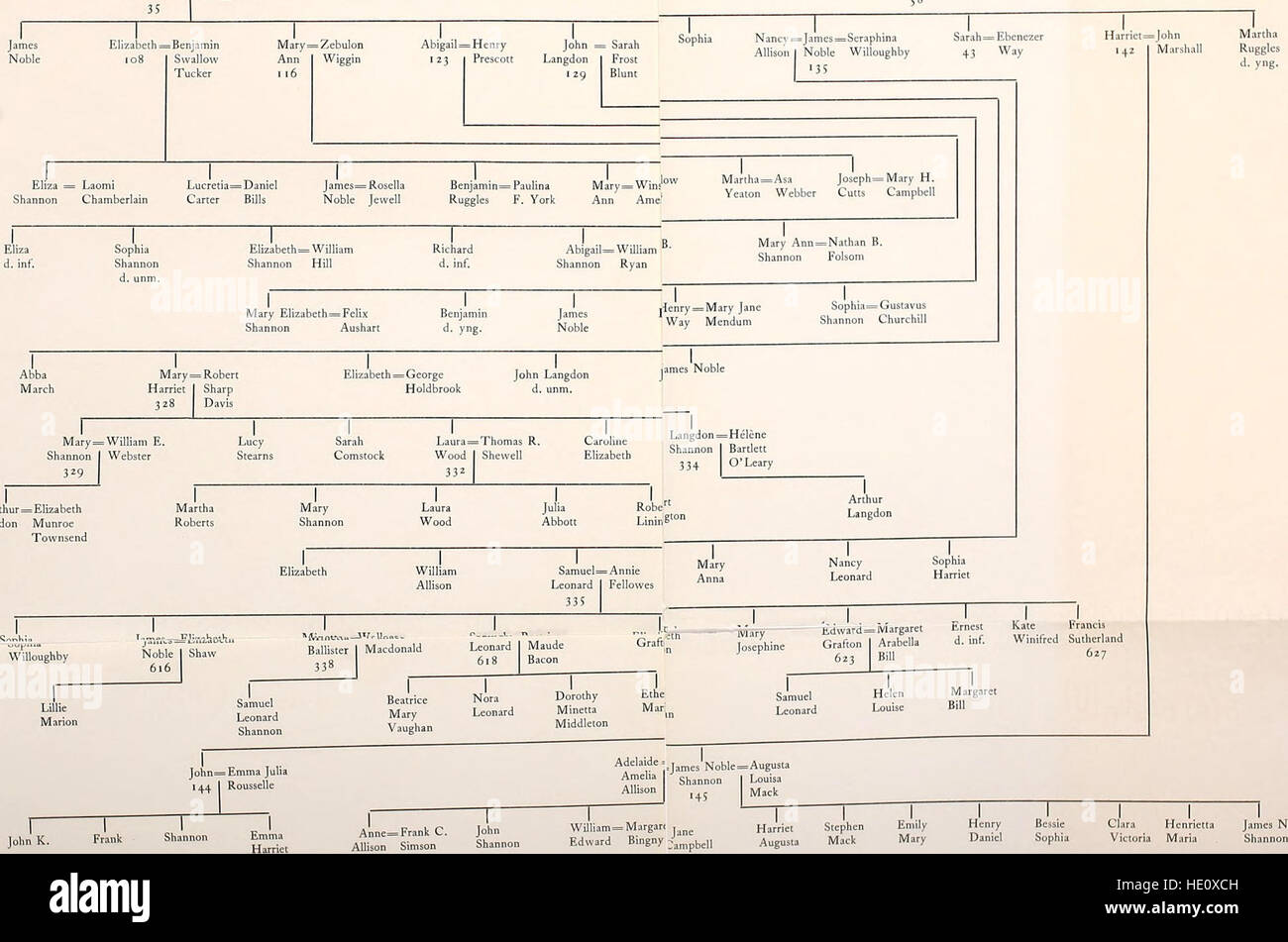 'Shannon Genealogy' (1905) is a genealogical record documenting one ...