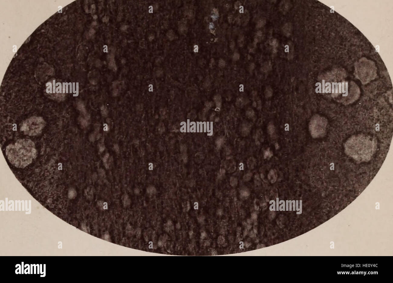 The 1874 edition of the American Journal of Insanity provides insights ...