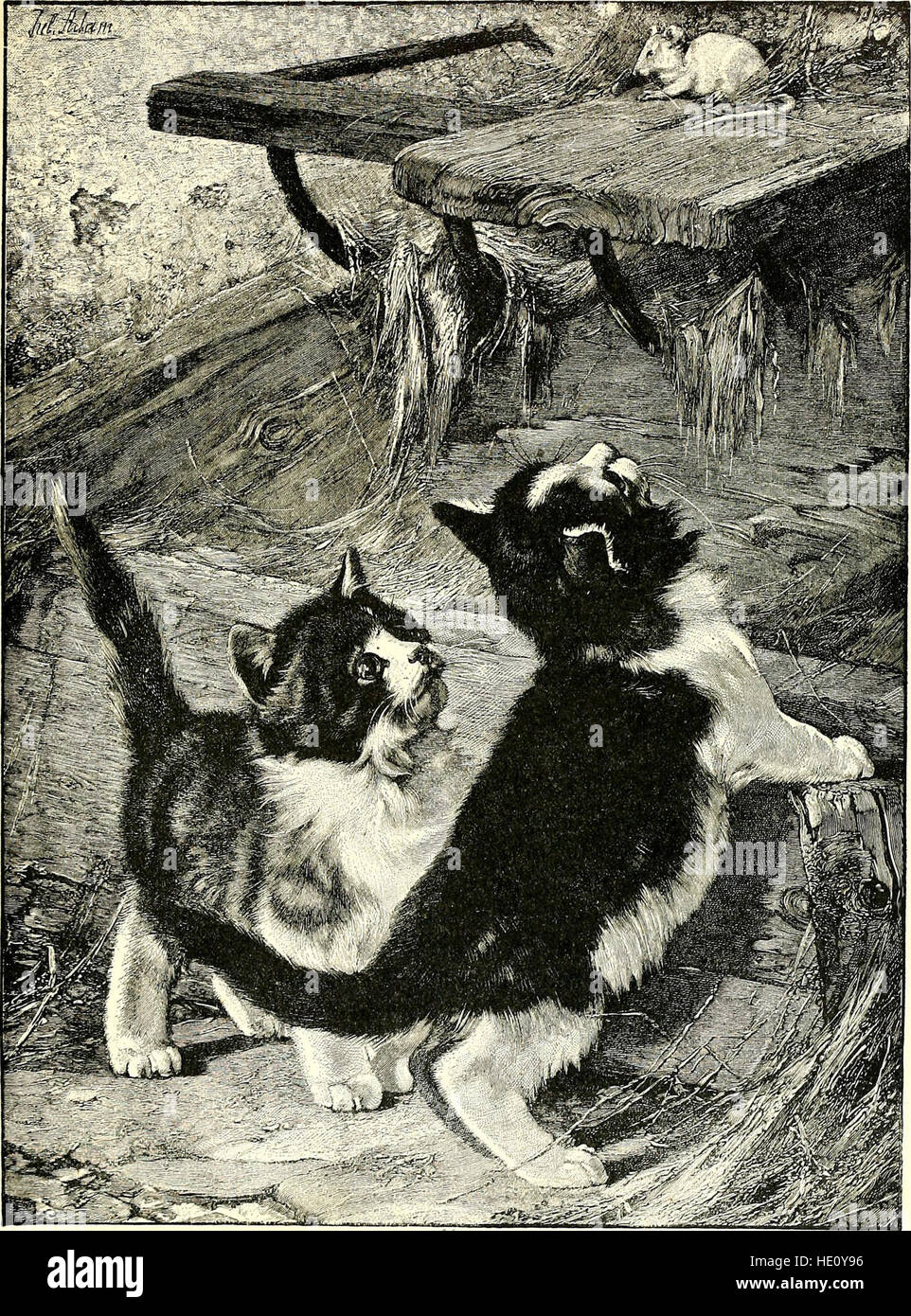 This 1900 book provides a collection of factual information, stories ...