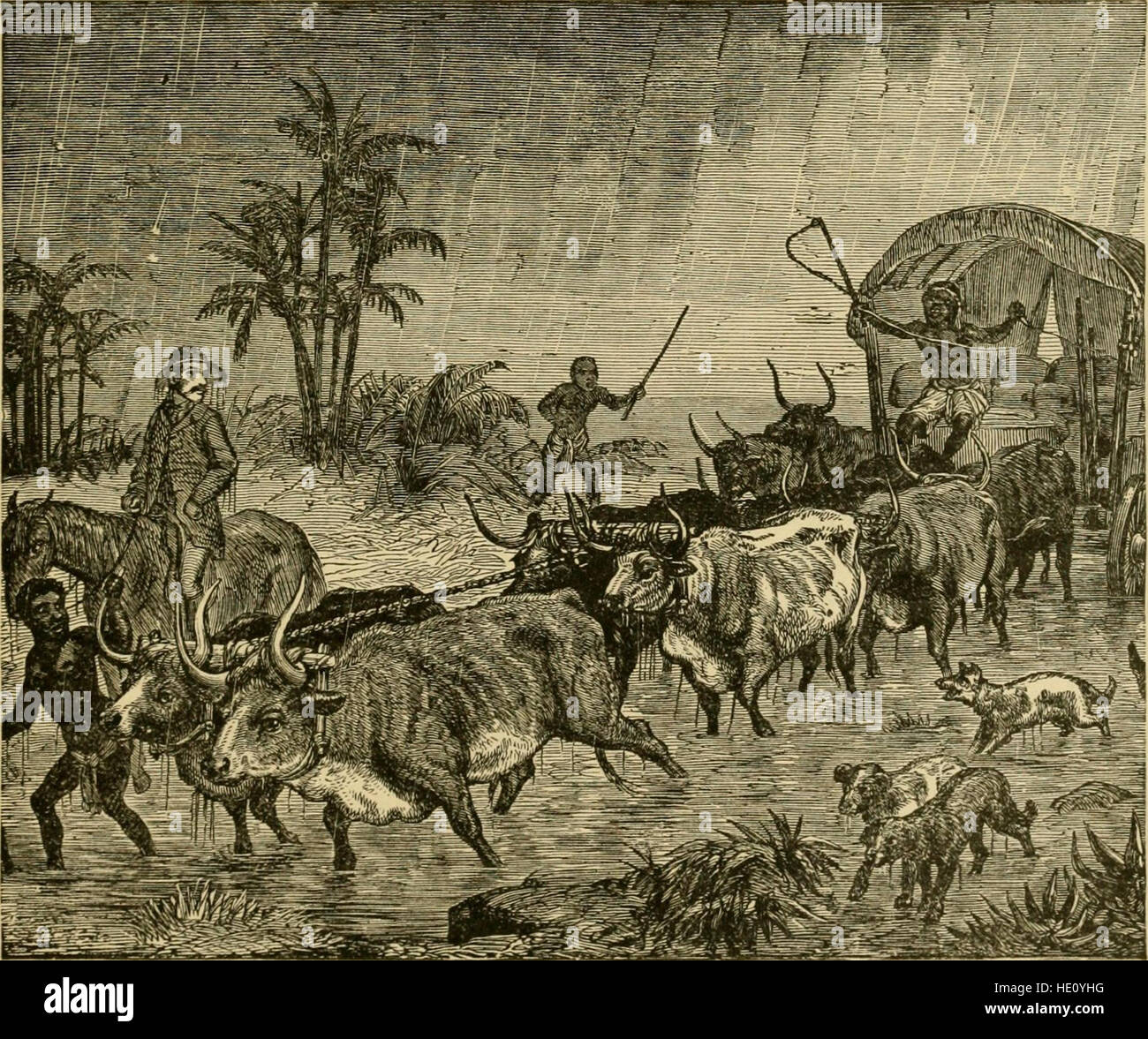 This account details Theodore Roosevelt's 1909-1910 African expedition ...