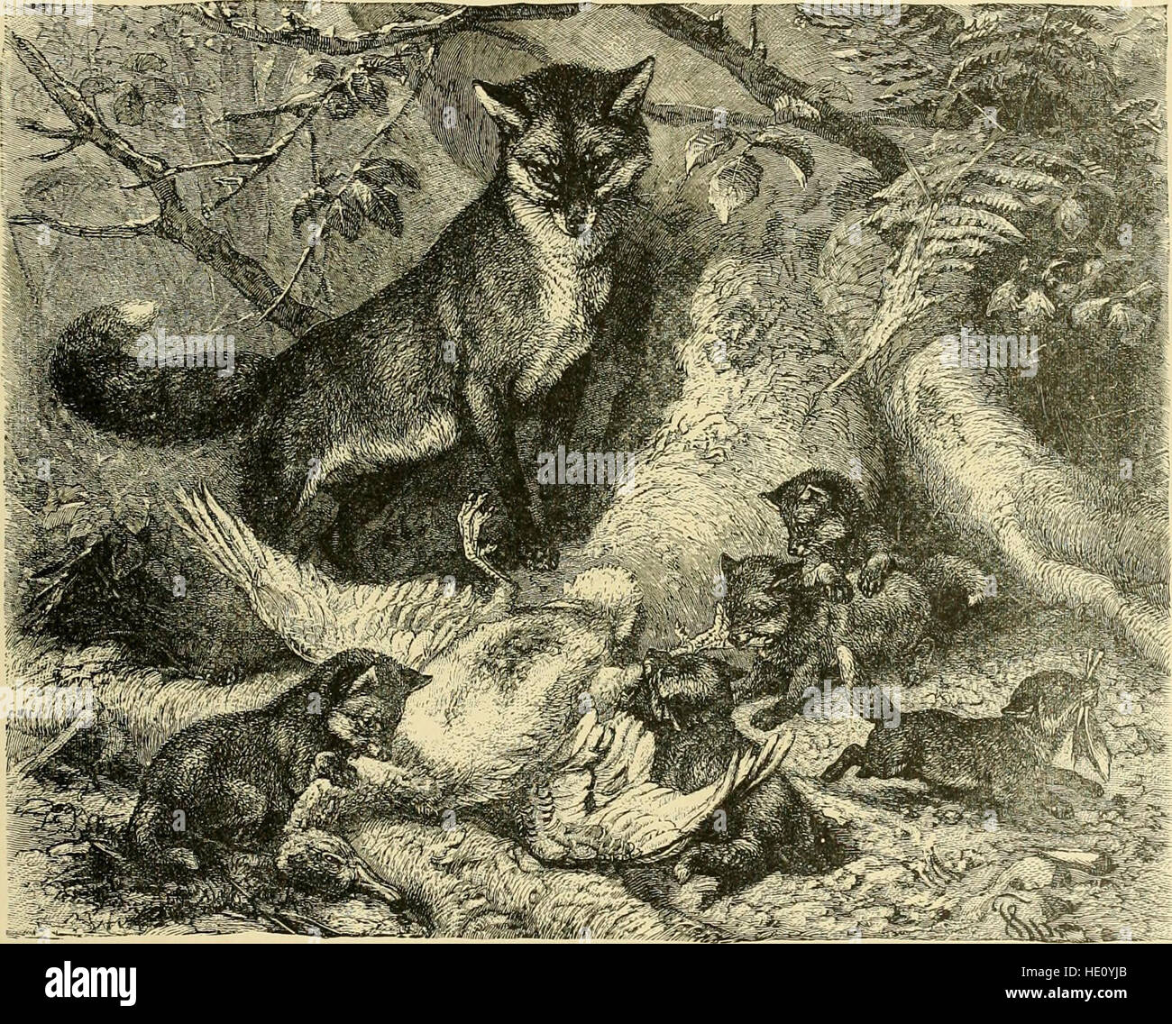 A 1903 collection of hunting and trapping stories aimed at young ...