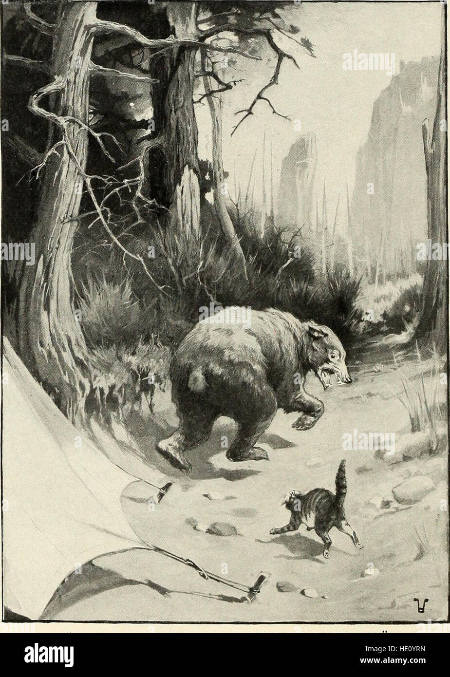 *St. Nicholas* (1873) was a popular American magazine for children ...