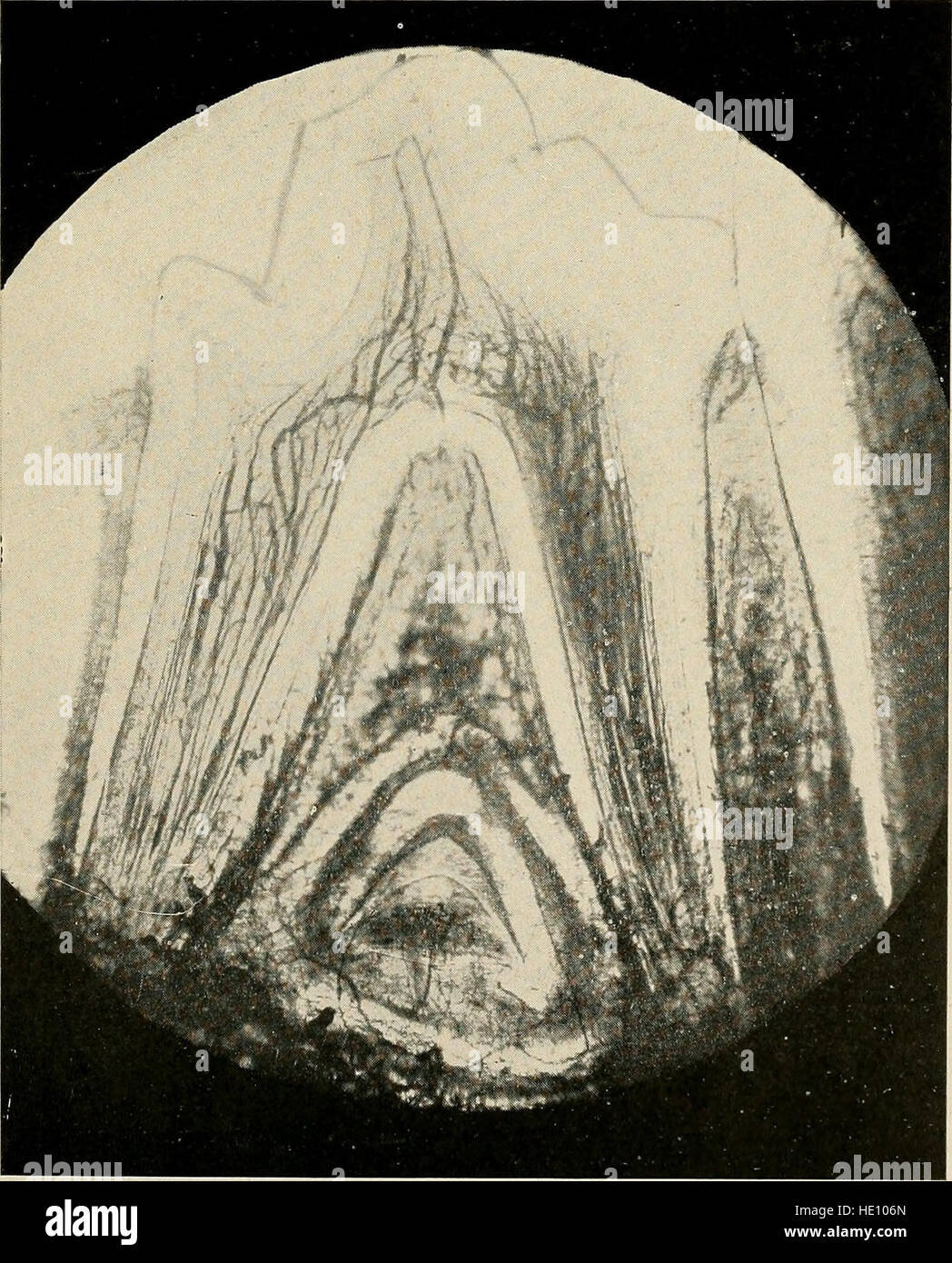 *Principles and Practice of Operative Dentistry* (1920) outlines the ...