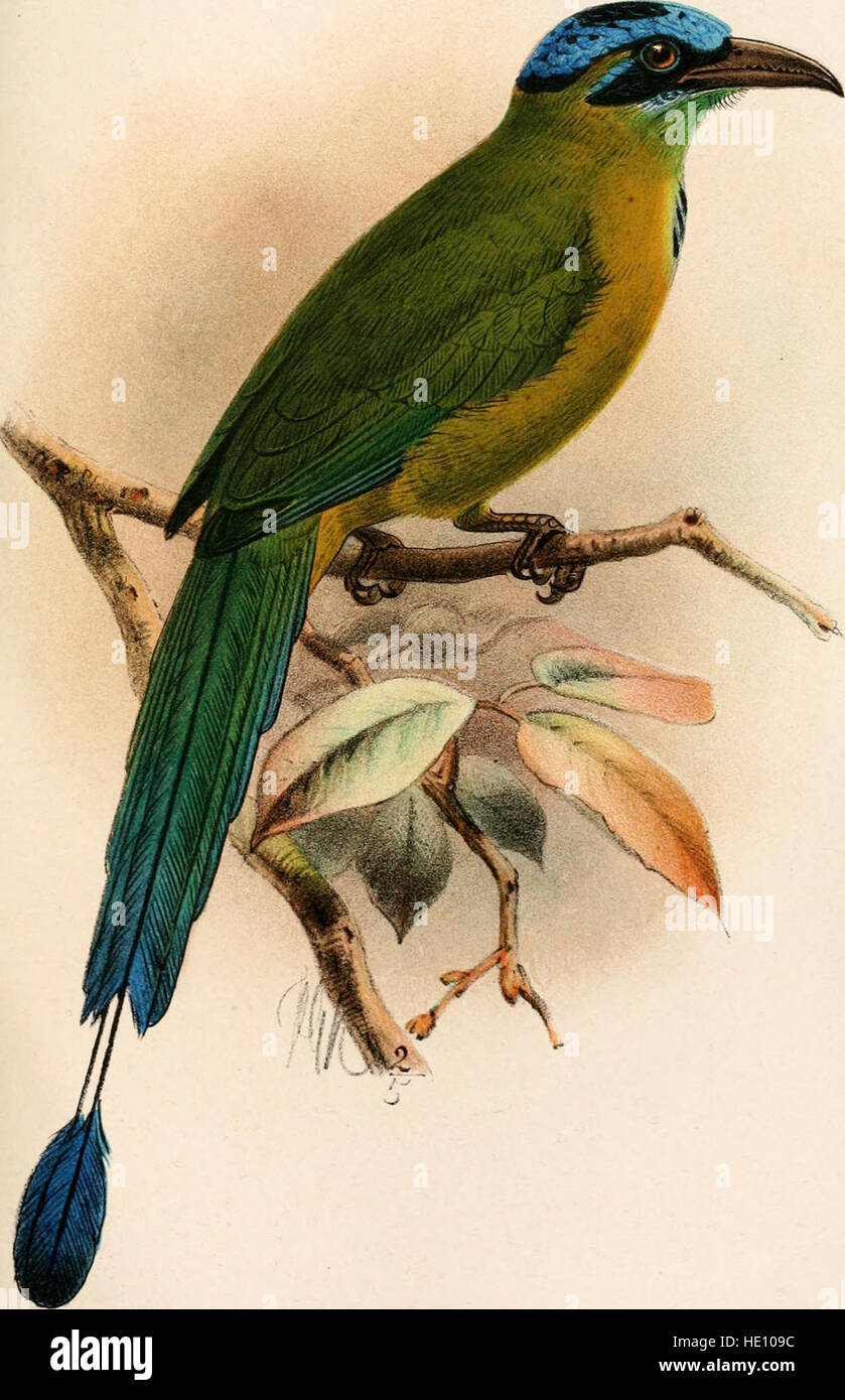 This 1892 catalog details the bird collection housed at the British ...