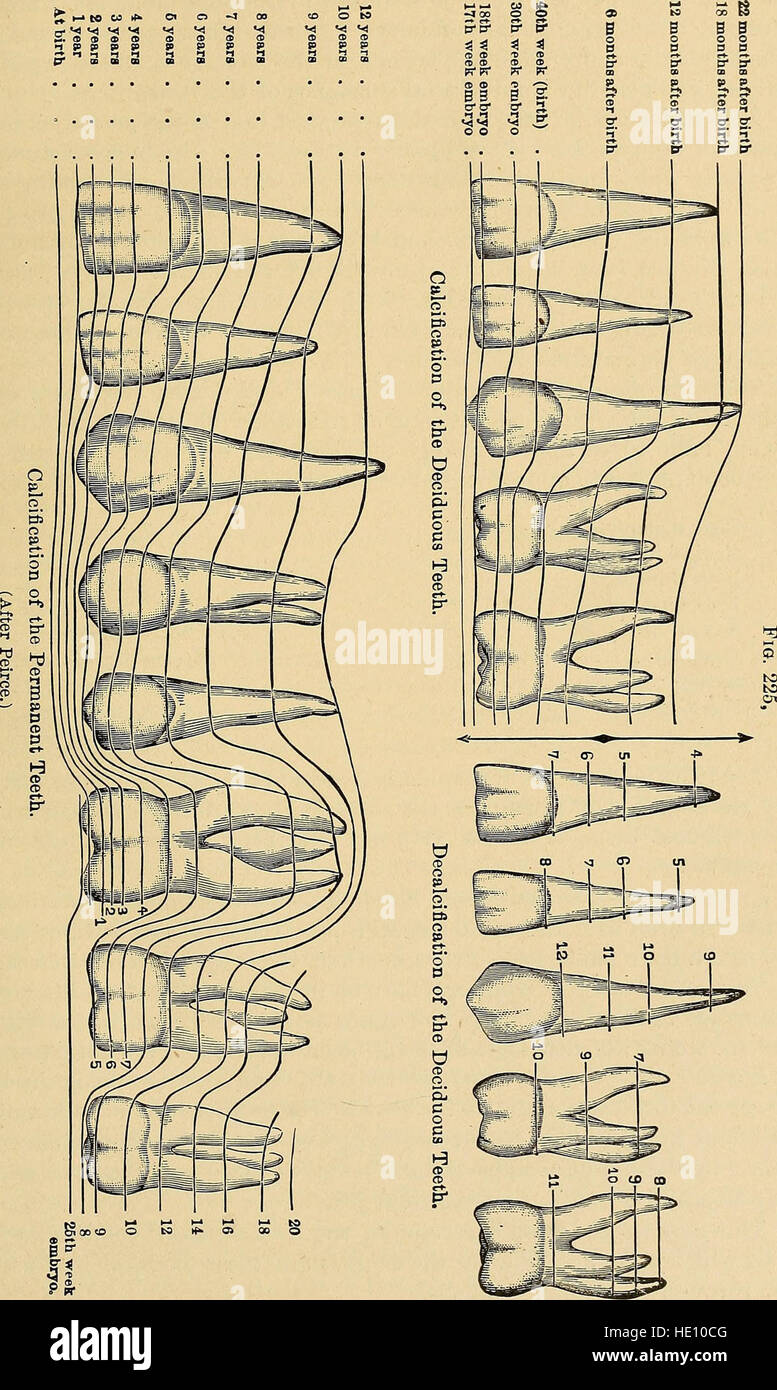 A 1920 textbook focused on the principles and techniques of operative ...