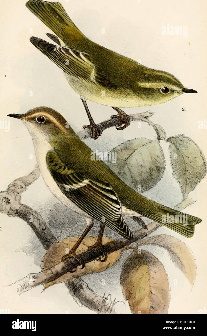 *Catalogue of the Birds in the British Museum* (1881) is a ...