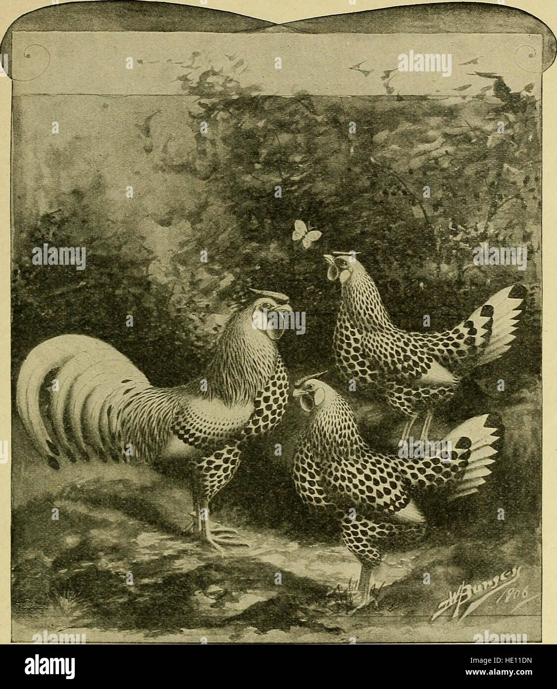 This 1910 guide explores the profitability of poultry and squab farming ...