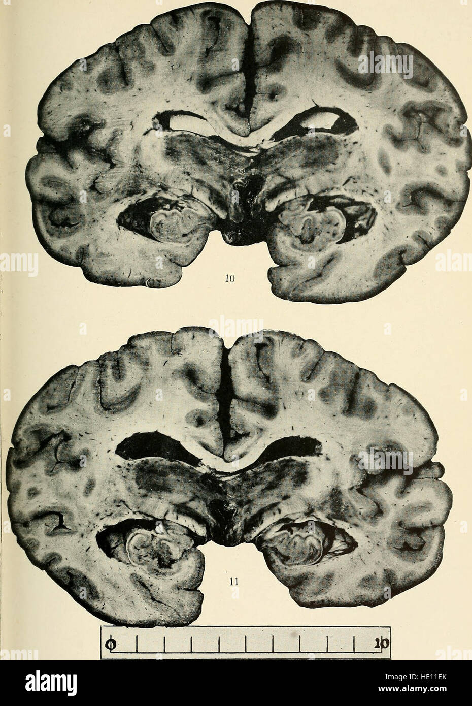 This 1920 bulletin reports on the activities, research, and ...