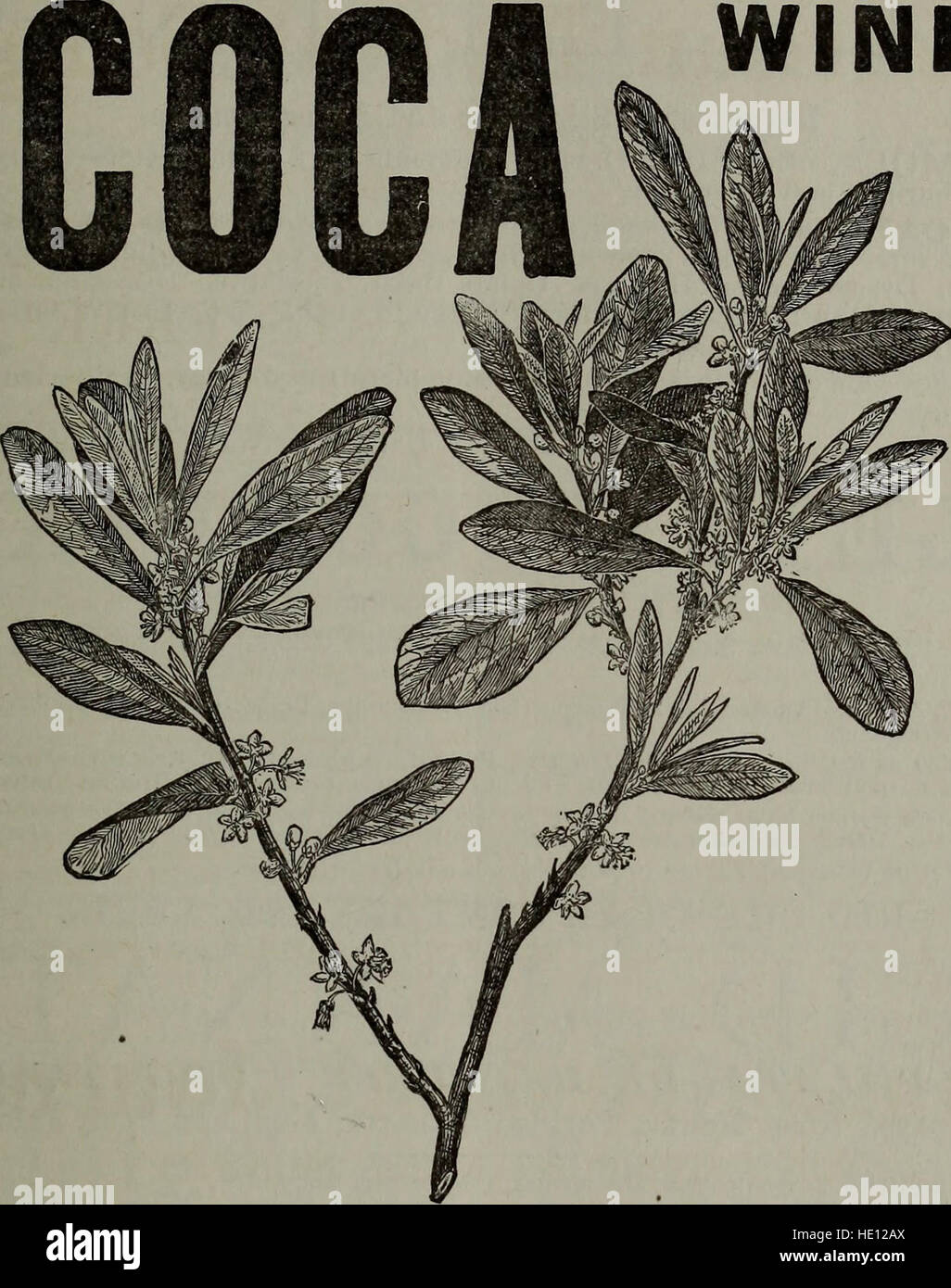 A medical journal from Massachusetts in 1884, focusing on eclectic ...