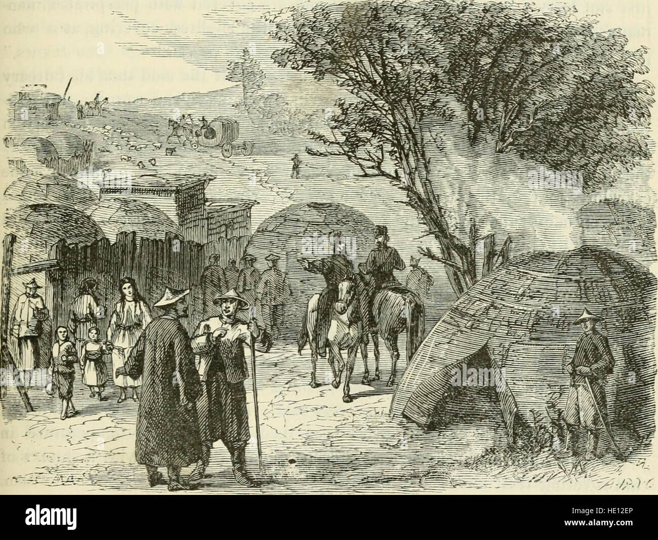 This 1874 work offers a comparative description of the human and ...