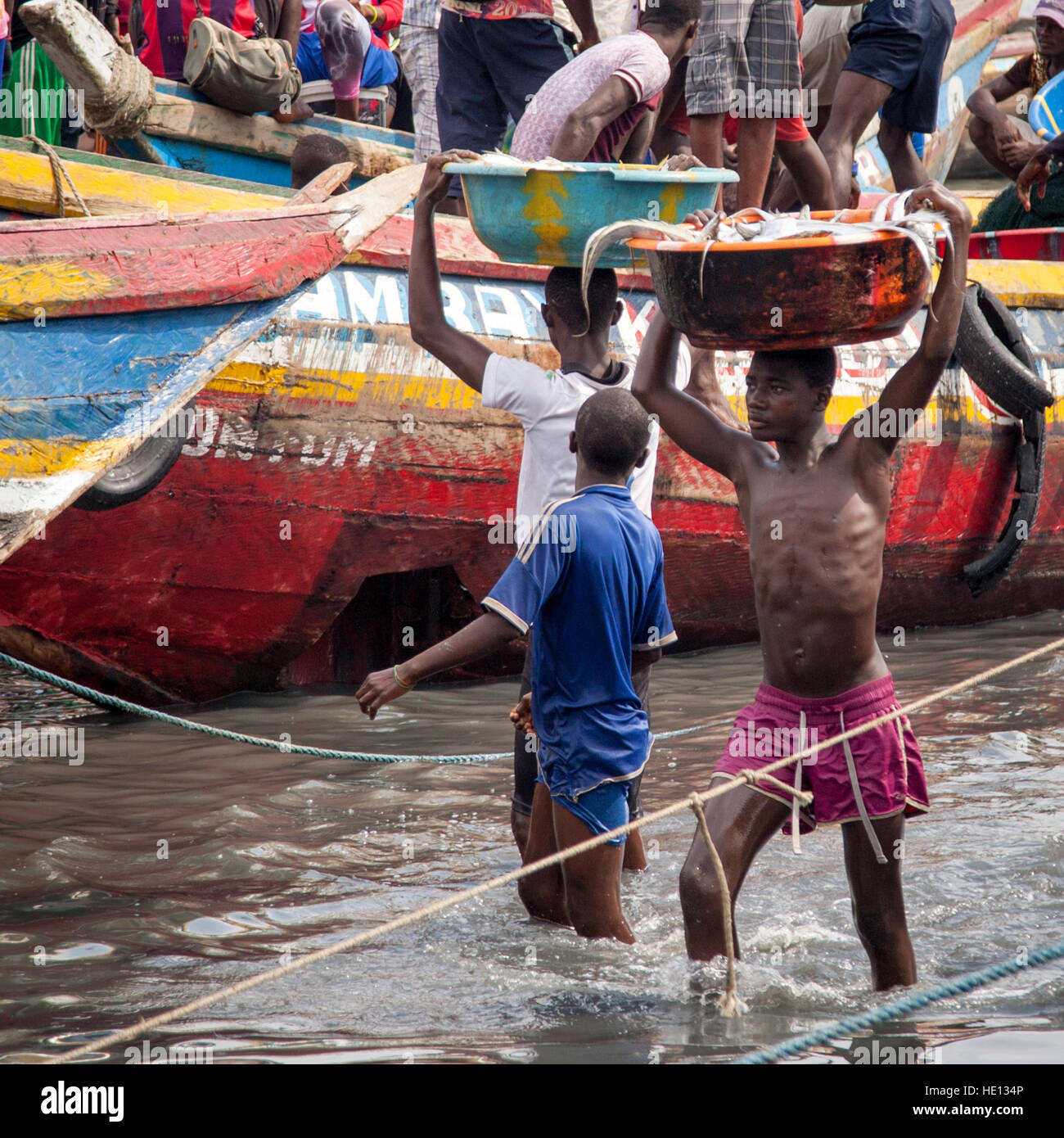 Carrying Fishes High Resolution Stock Photography and Images - Alamy