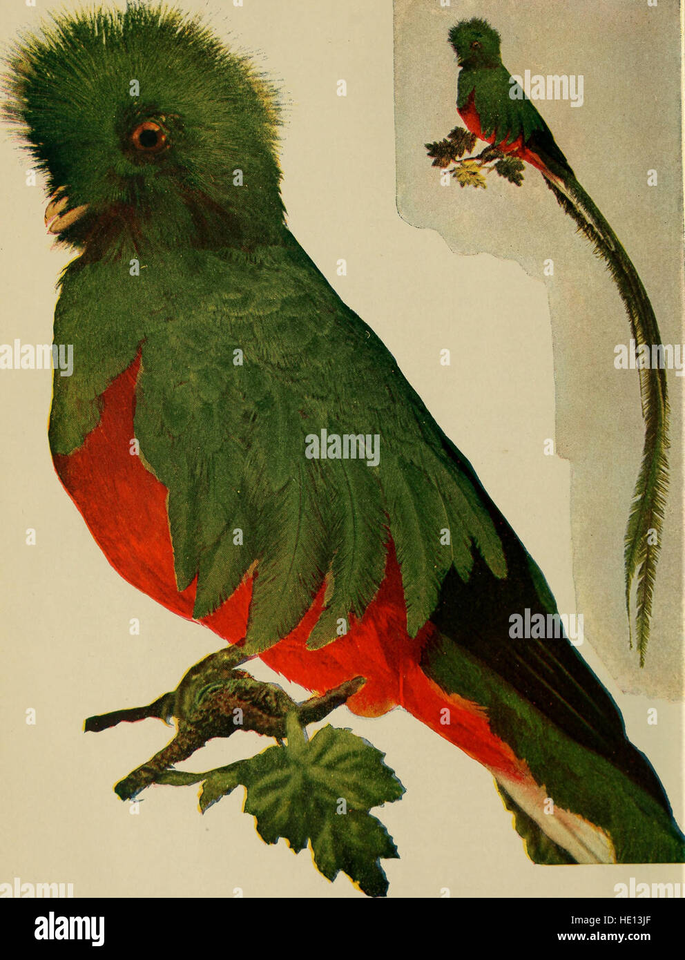 This 1905 publication highlights the study of birds and their natural ...