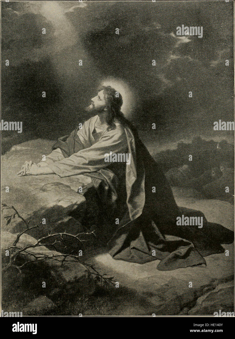 An illustrated edition of the Bible, featuring both the Old and New ...