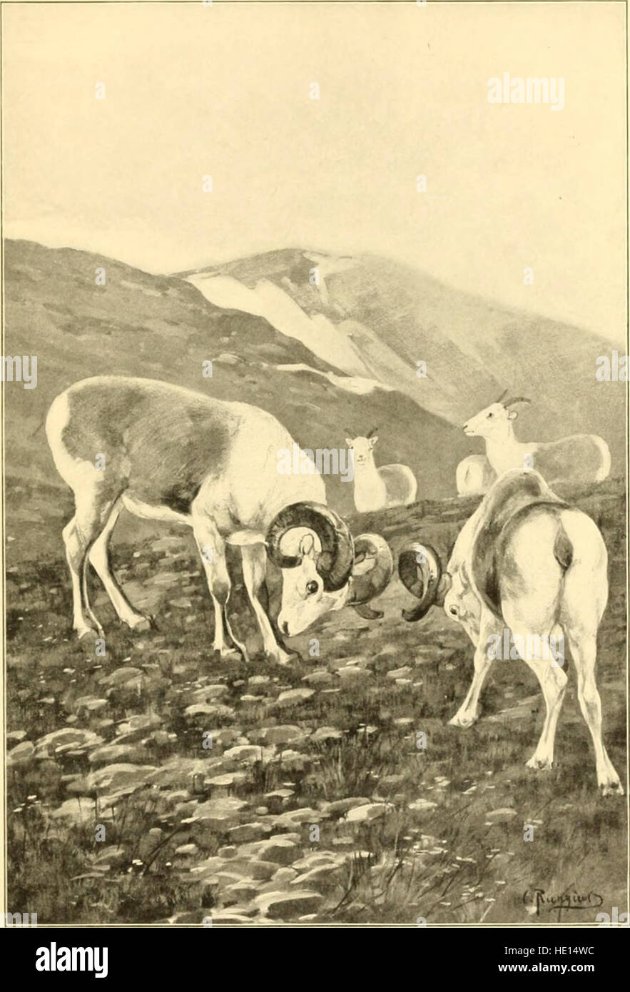 This 1904 work explores the biology, behavior, and ecological role of ...