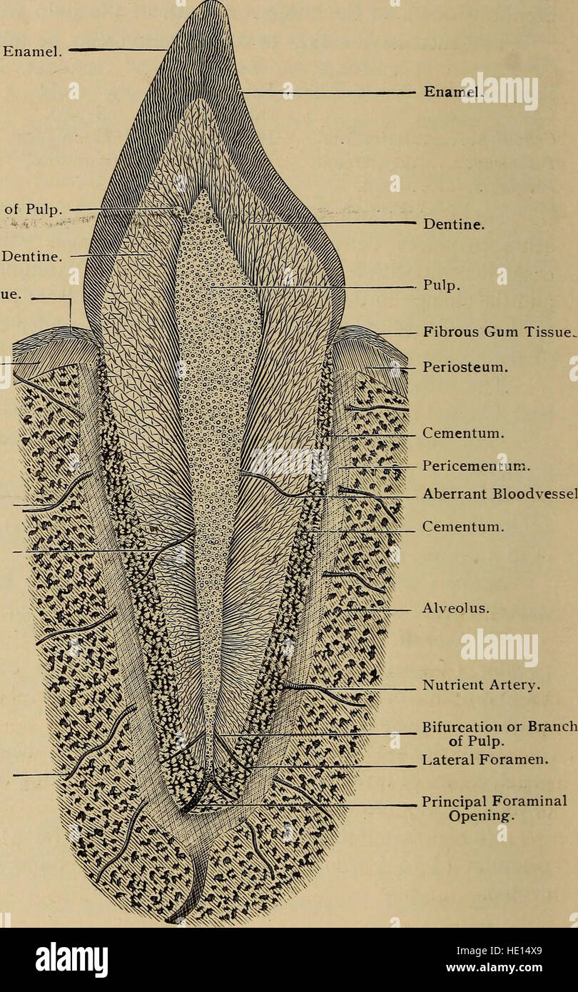 'Oral Pathology and Practice' (1901) is a medical textbook providing ...