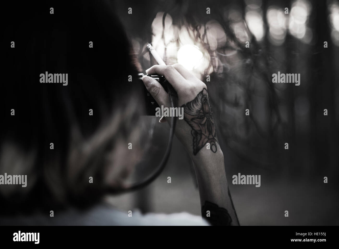 Photographer Camera Man Shooting Woods Nature Sunset Concept Stock ...