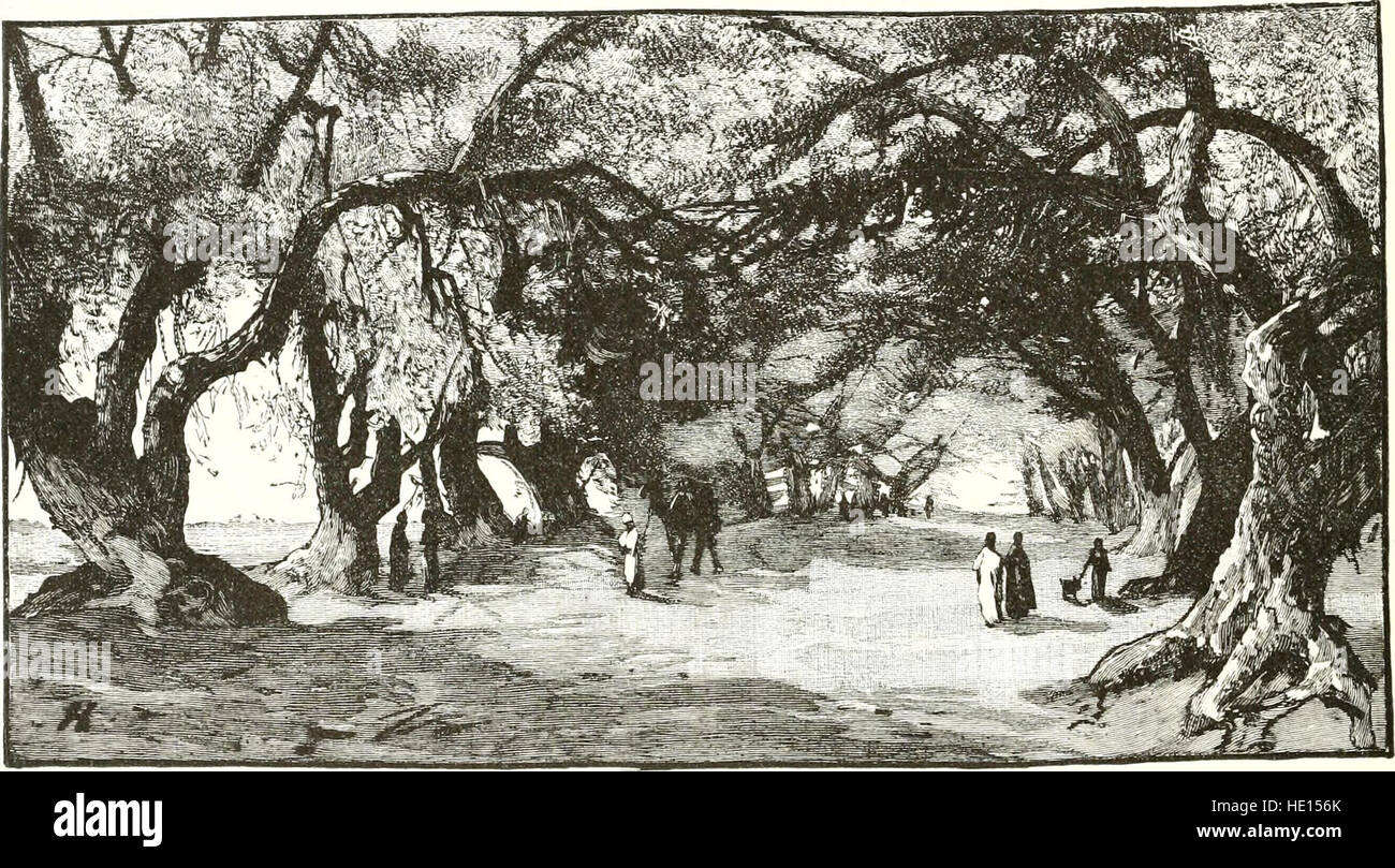 *Ridpath's Universal History* outlines the origin, development, and ...