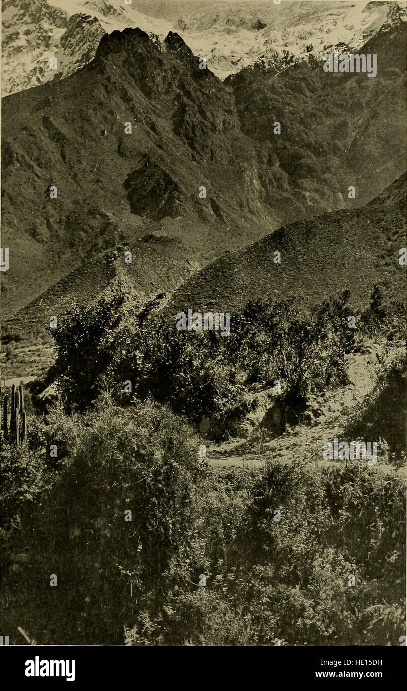 *The Andes of Southern Peru* (1916) offers a detailed exploration of ...