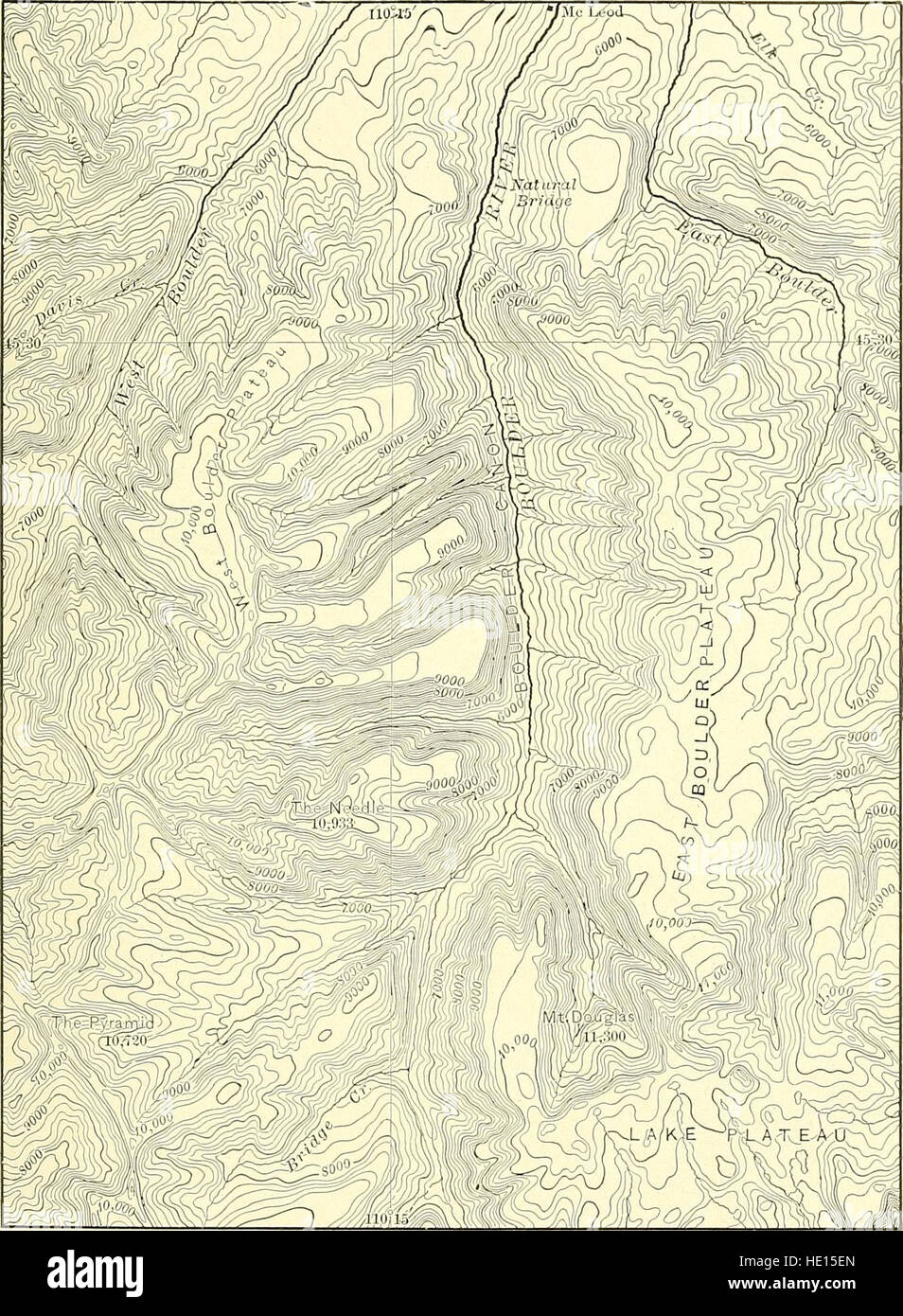 'Forest Physiography' (1911) explores the relationship between forest ...