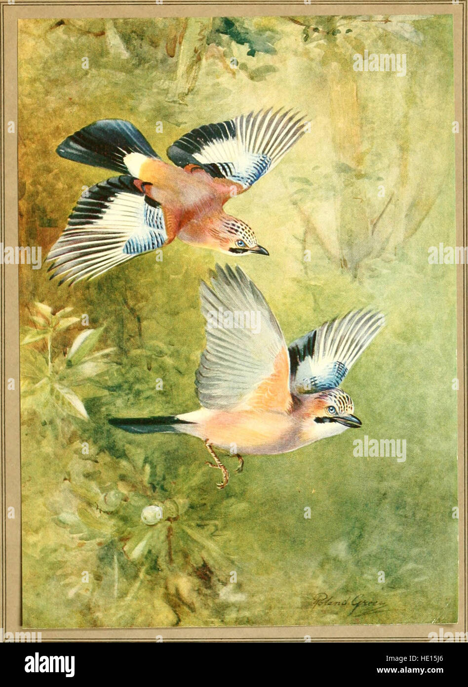 *Birds in Flight* (1922) captures the beauty and mechanics of bird ...