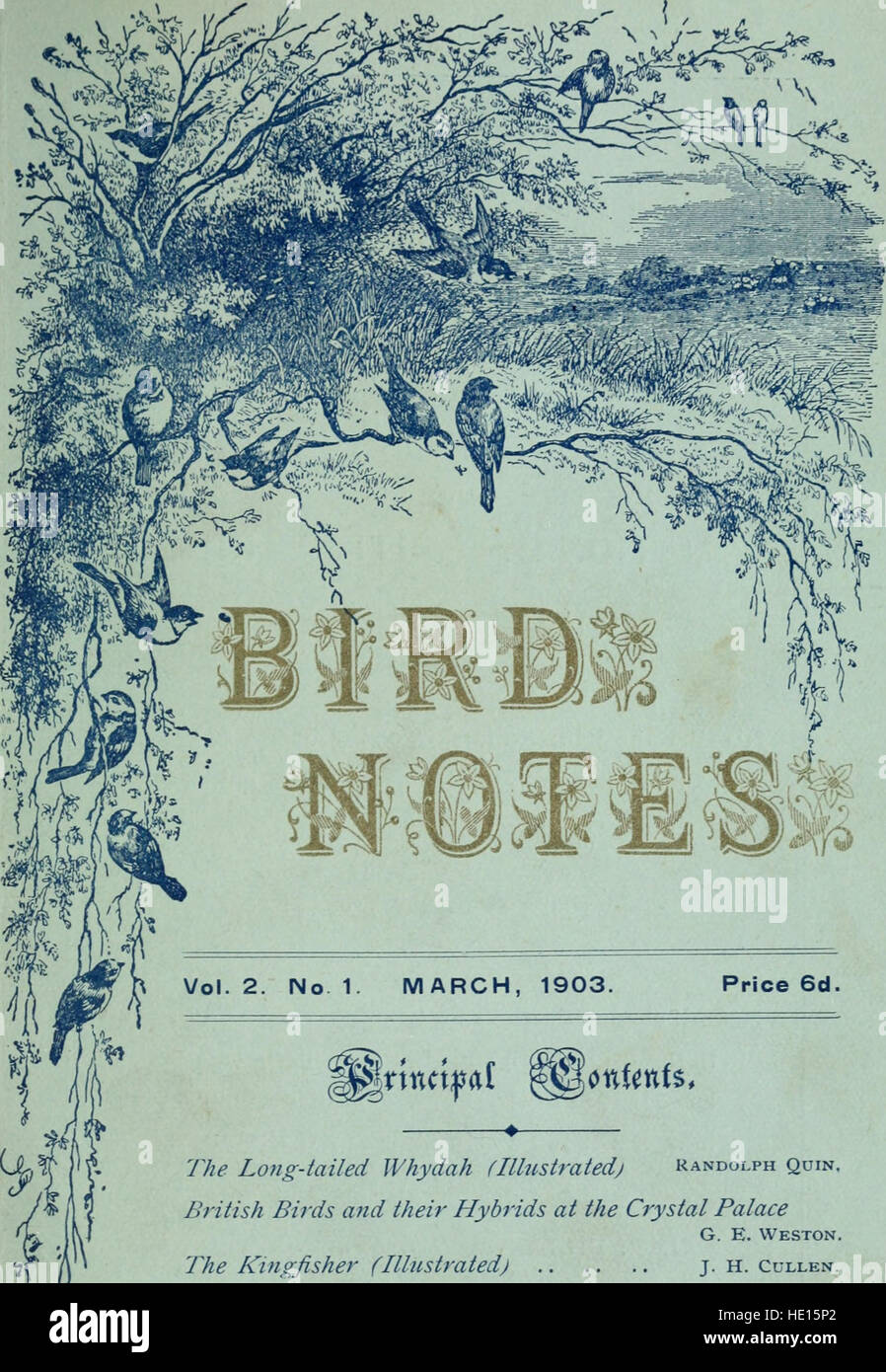 Bird Notes (1903) is a publication that compiles observations and notes ...