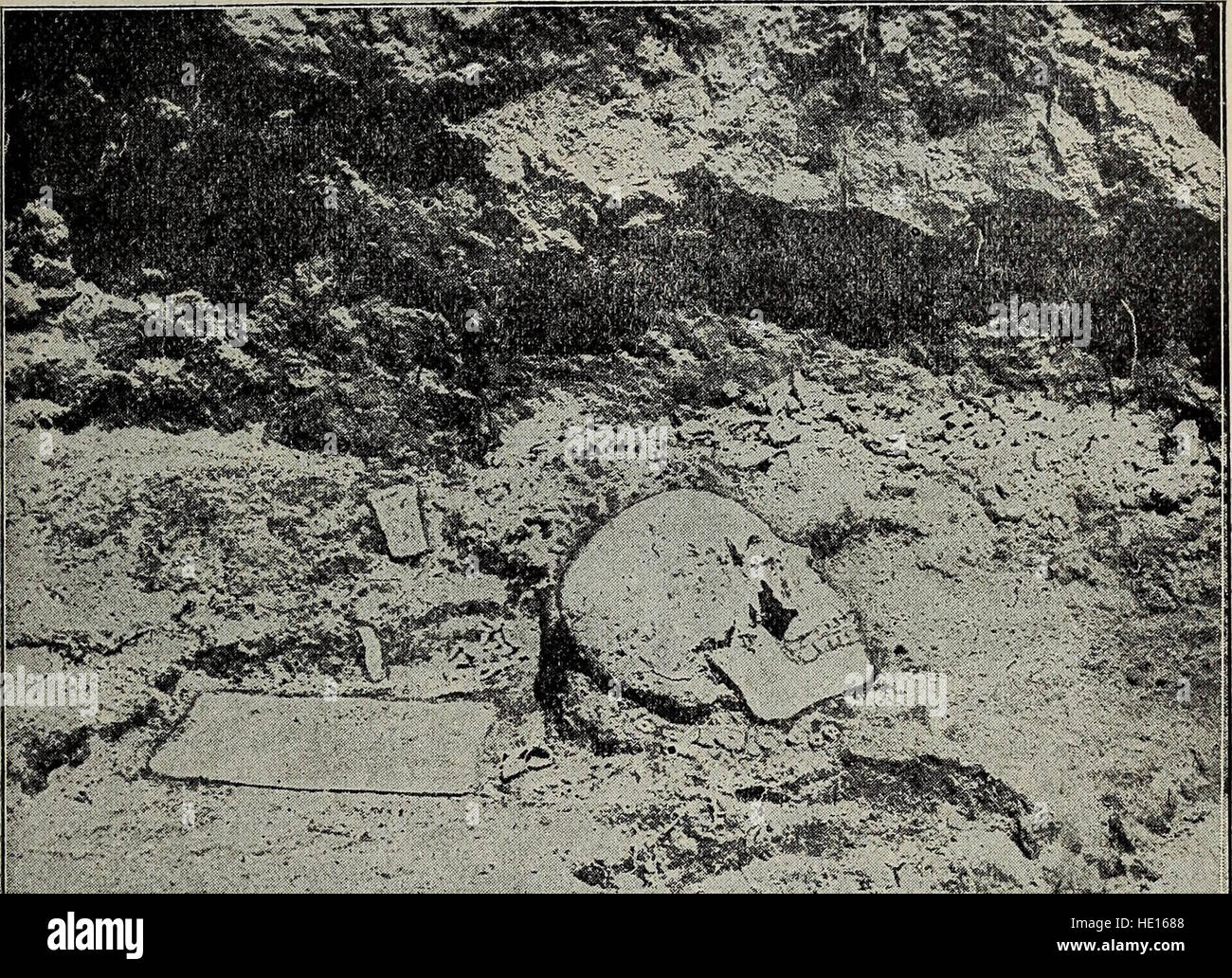 The 1887 *Ohio Archaeological and Historical Quarterly* features ...