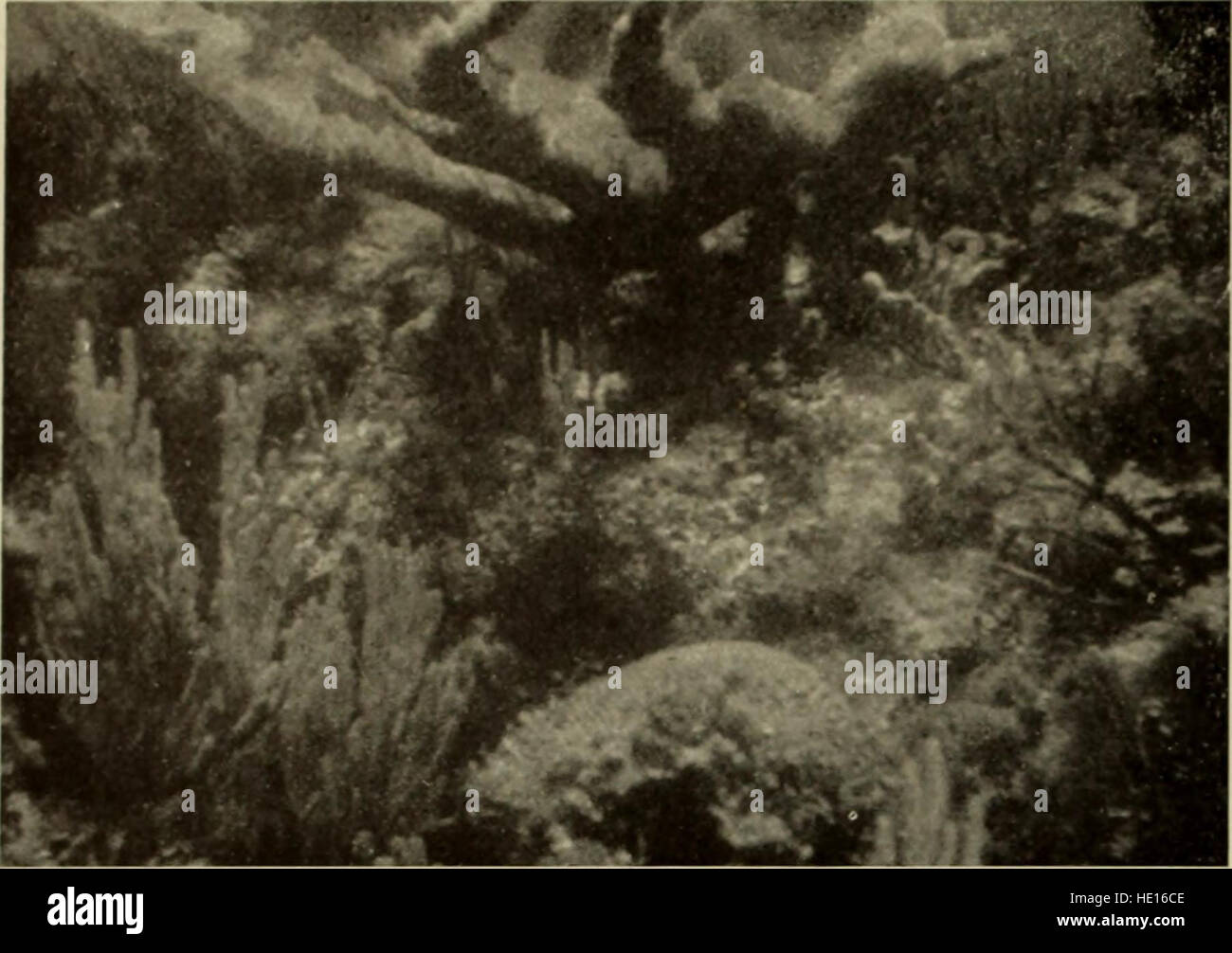 'Guide Leaflet' (1901) is a pamphlet designed to provide concise ...