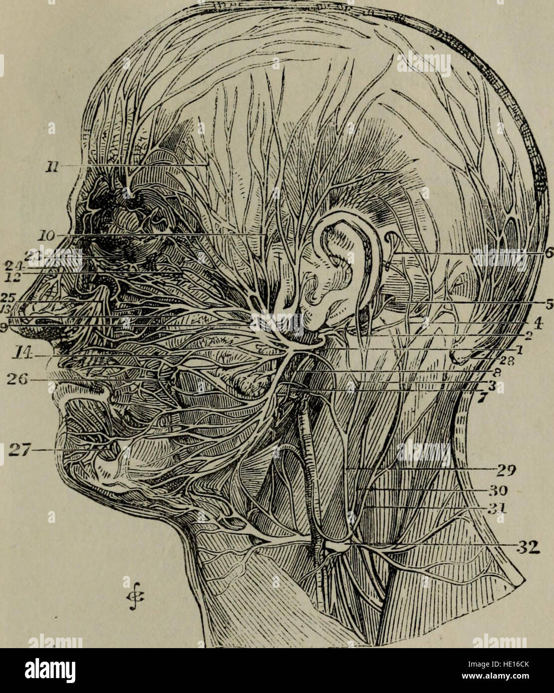 *Practical Hydropathy* (1864) focuses on the therapeutic use of water ...