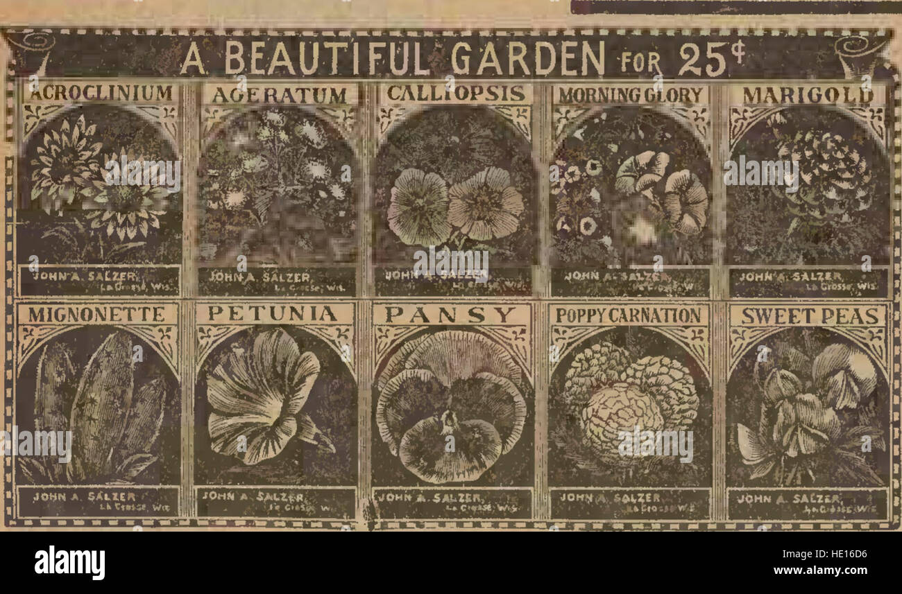 *Spring 1897* is a publication featuring a collection of articles ...