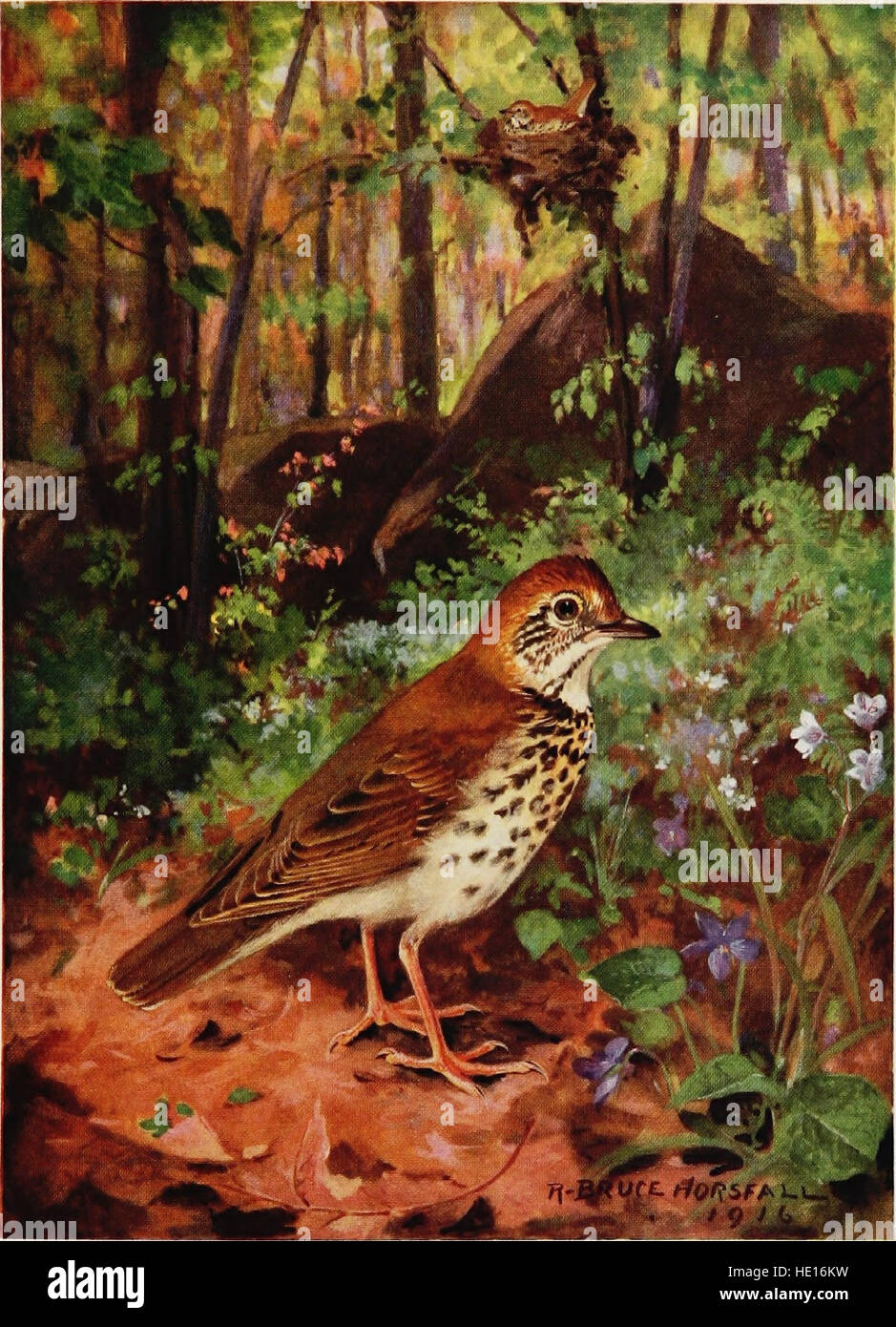 A Year with the Birds, published in 1917, is an observational work ...