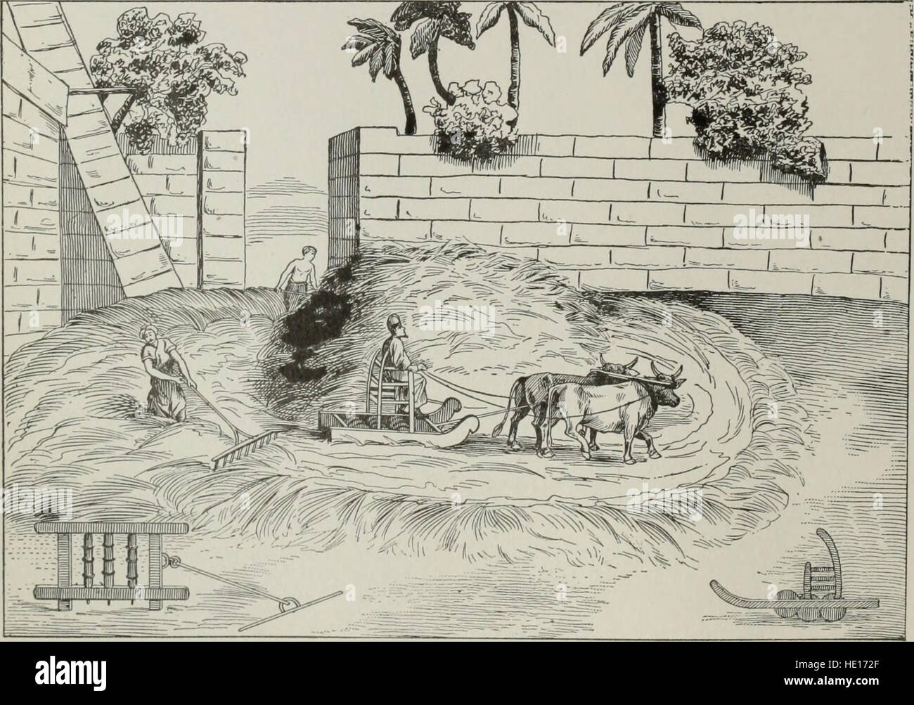 This comprehensive Bible encyclopedia and scriptural dictionary ...