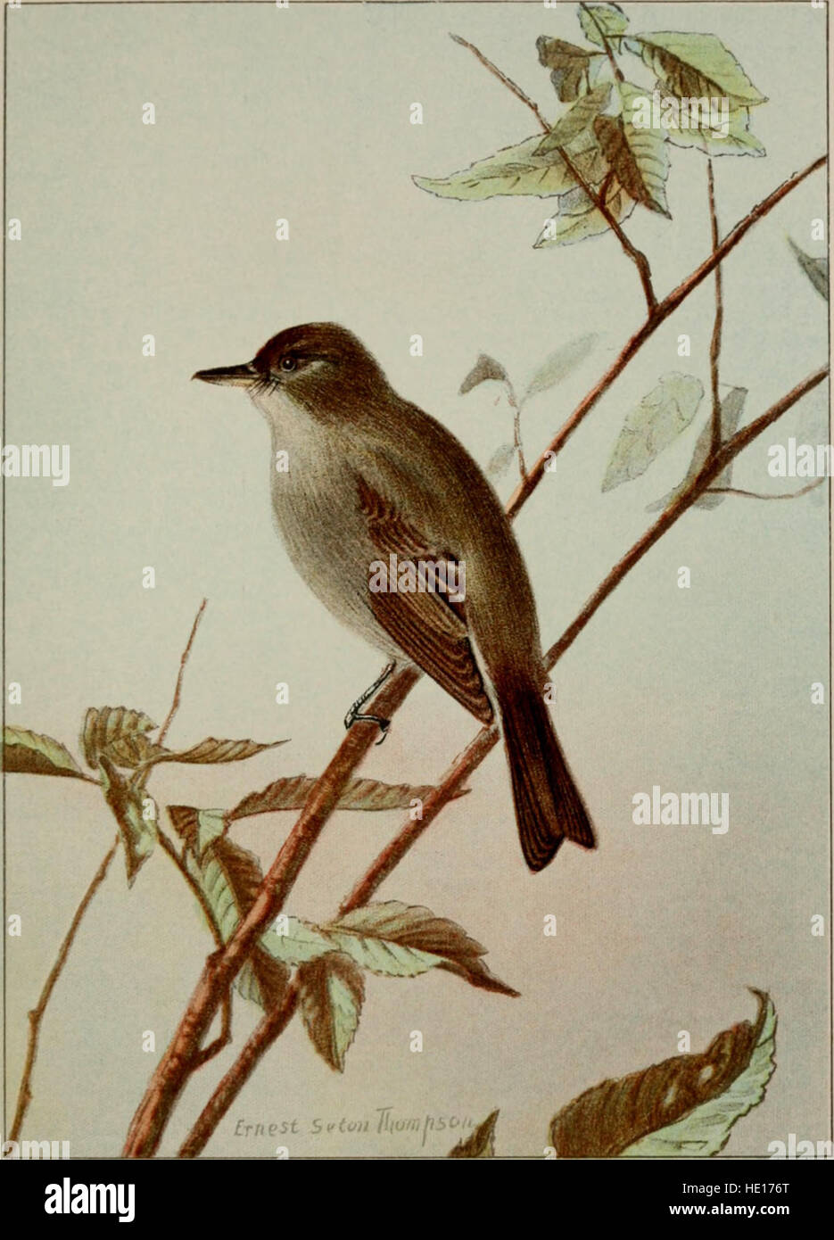 Guide focuses on study hi-res stock photography and images - Alamy