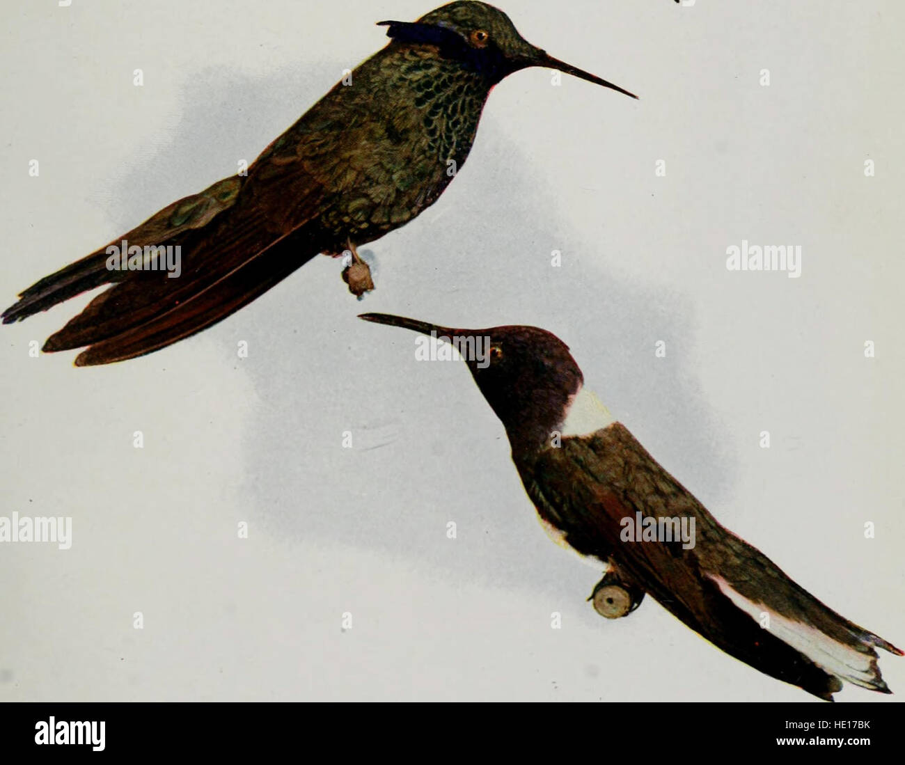 This collection of color photography highlights the interconnectedness ...