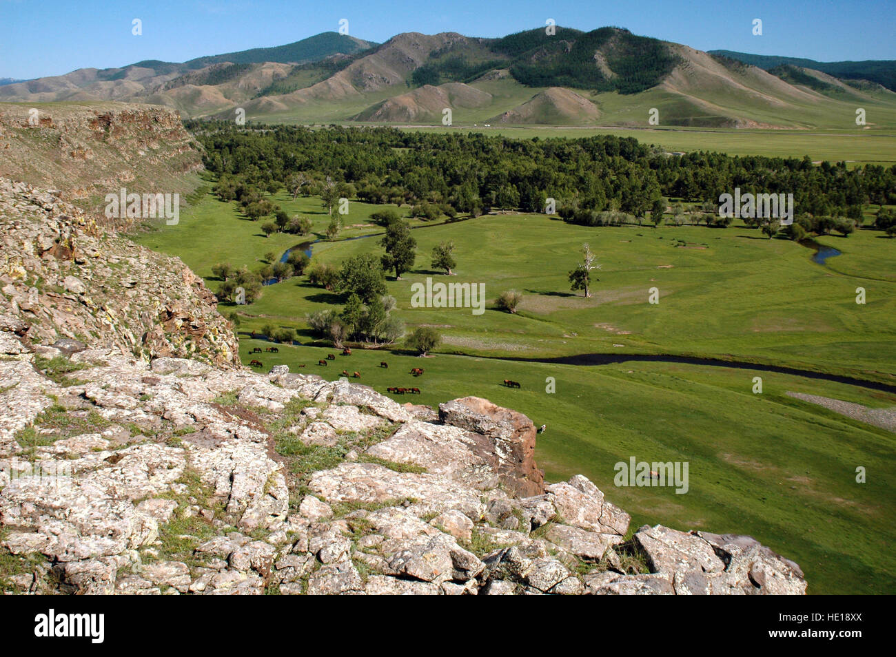 Summer time view downstream along Tuul River valley near Zaankhushuu ...