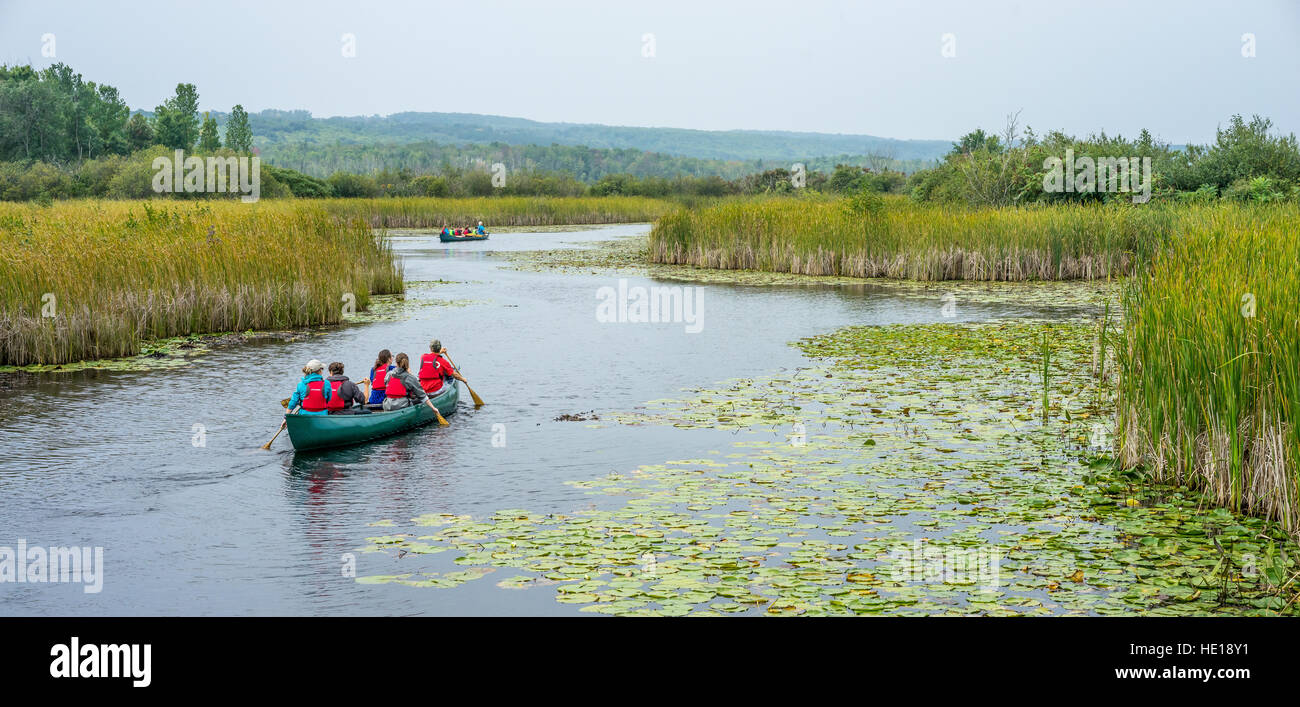 Wye marsh midland ontario hi-res stock photography and images - Alamy