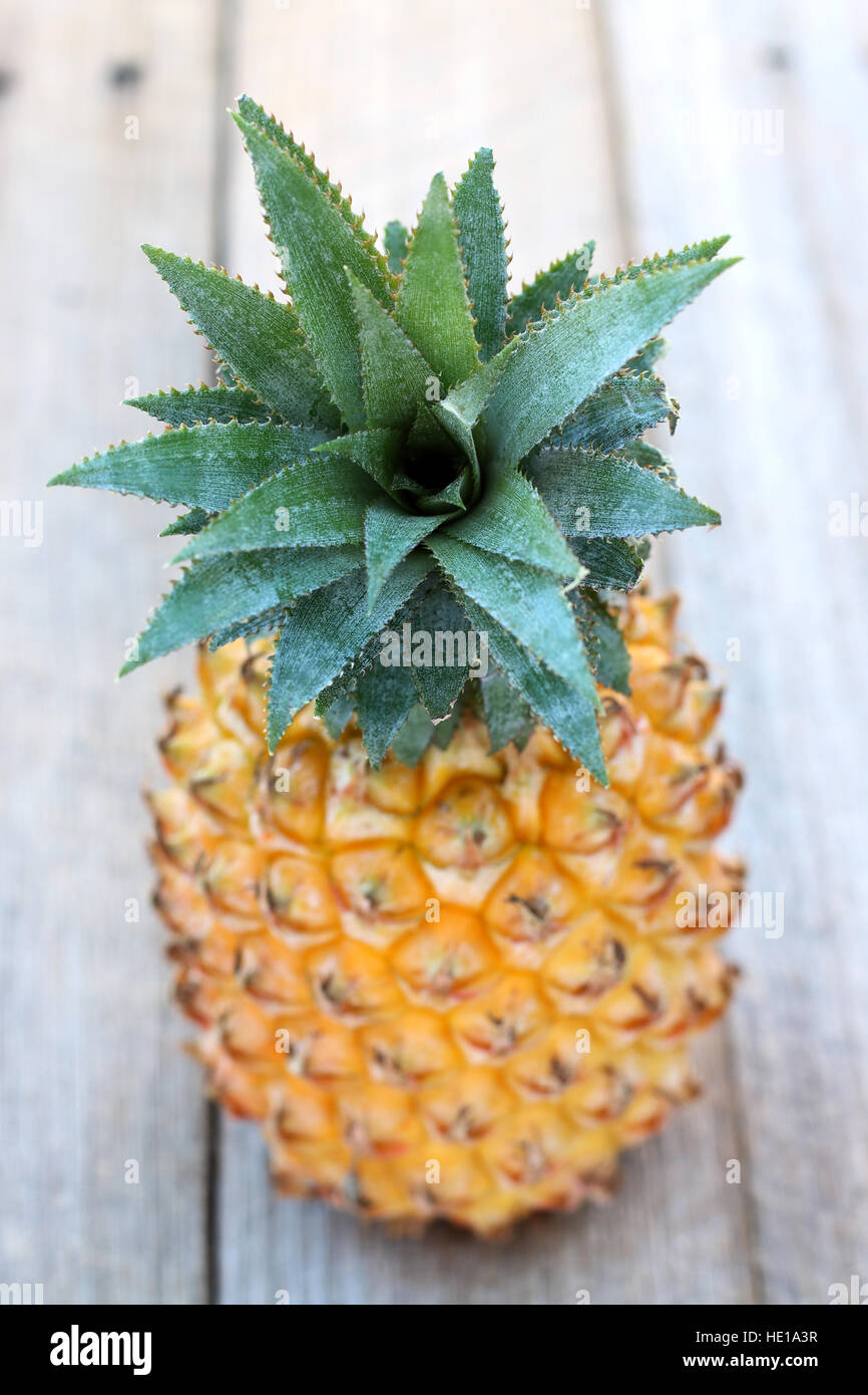 Pineapple crown hi-res stock photography and images - Alamy