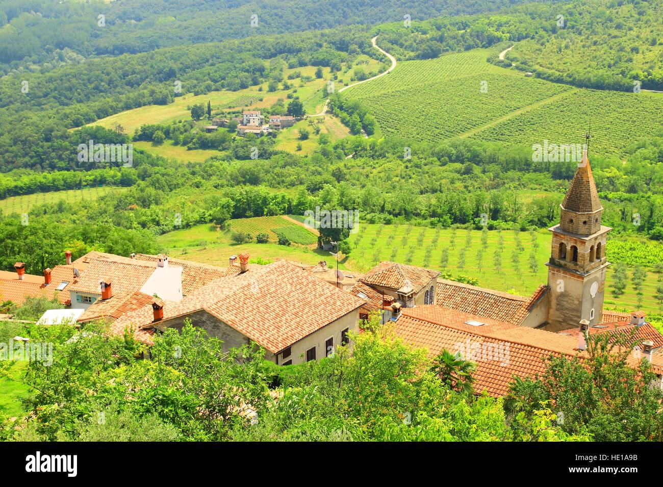 Istria landscape with vineyards and Motovun house roofs Stock Photo - Alamy