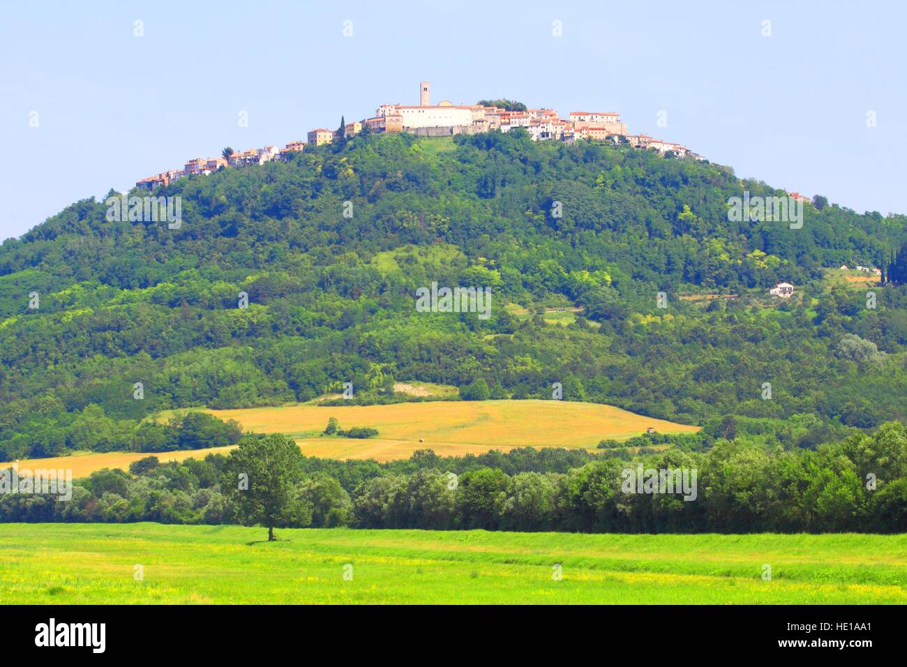 Motovun truffles hi-res stock photography and images - Alamy