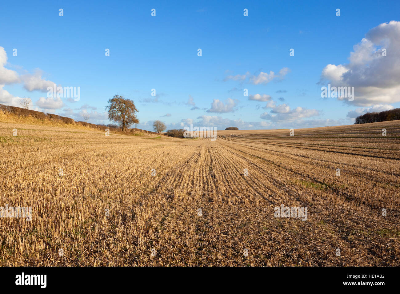 Patterns and textures of autumn stubble fields in the scenic landscape ...