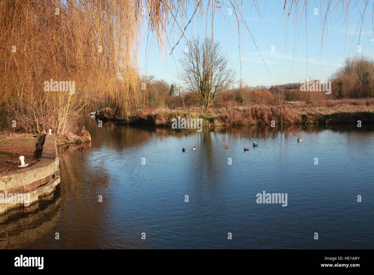 River stort uk hi-res stock photography and images - Alamy
