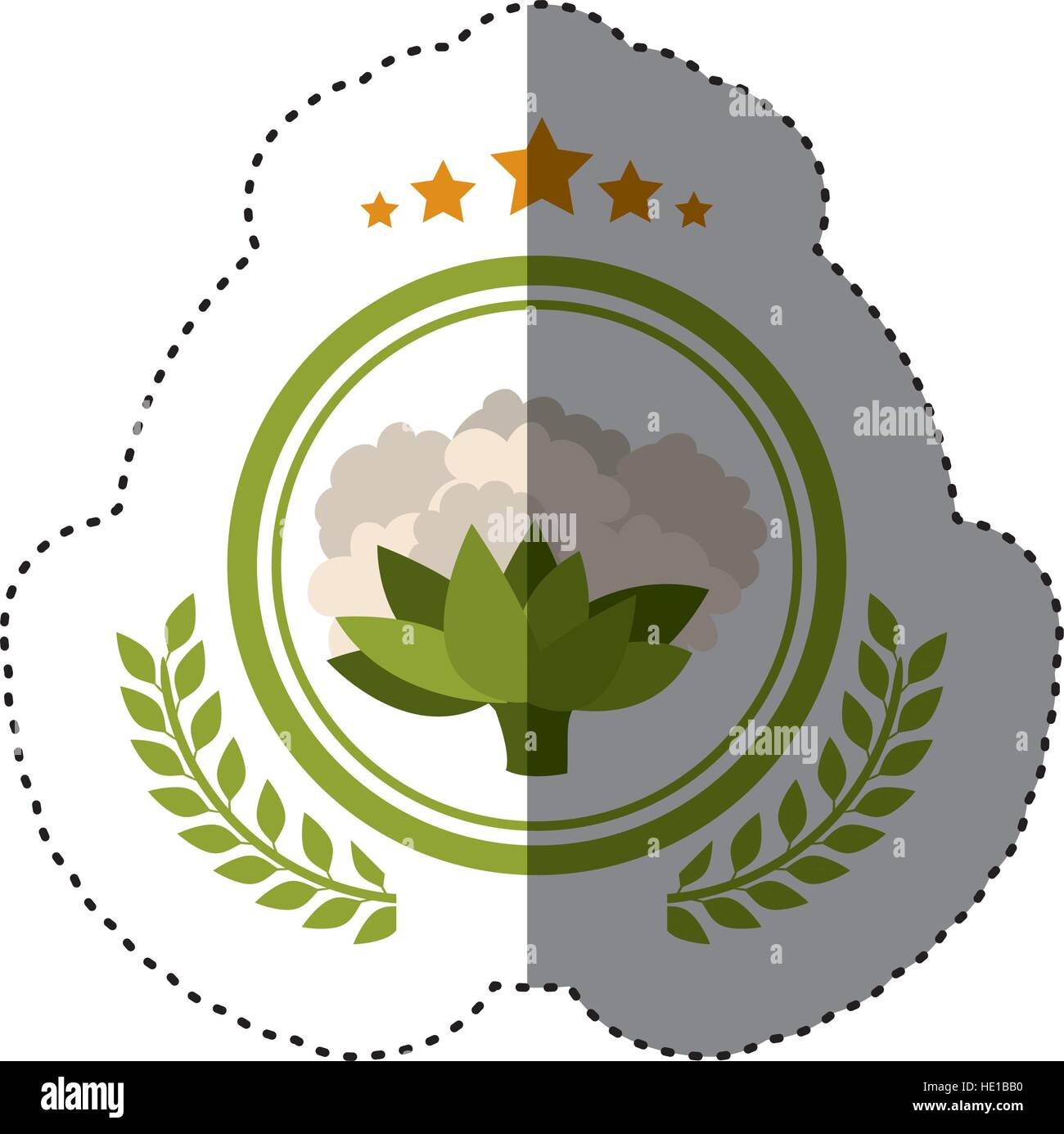 Isolated cauliflower design Stock Vector Image & Art - Alamy