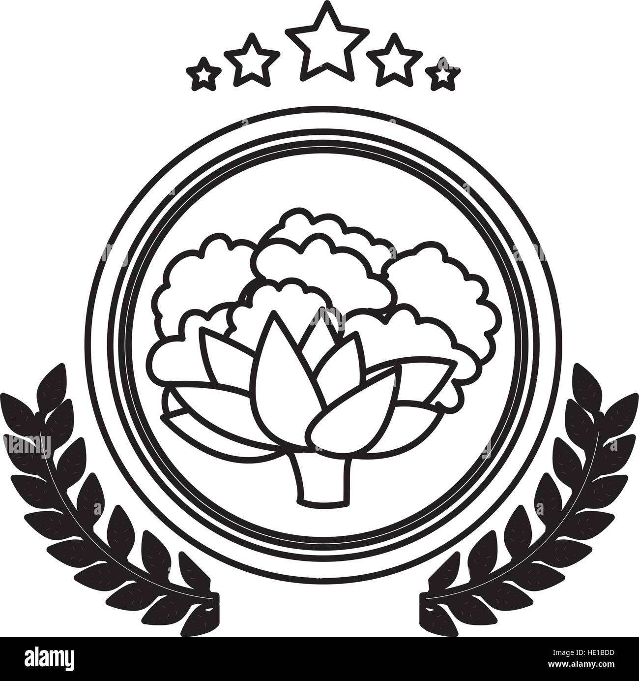 Isolated cauliflower design Stock Vector Image & Art - Alamy