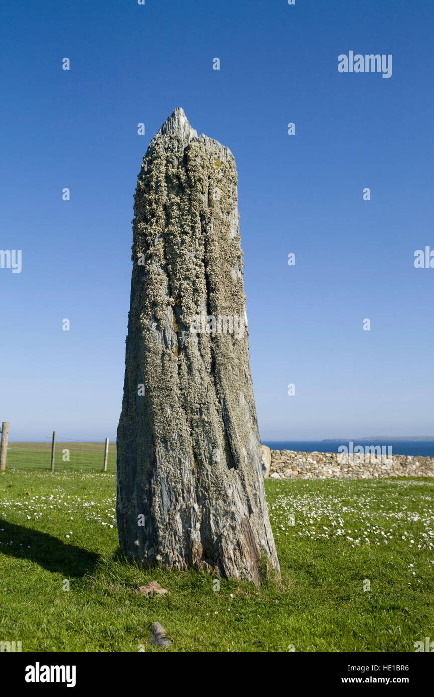 Breck hi-res stock photography and images - Alamy