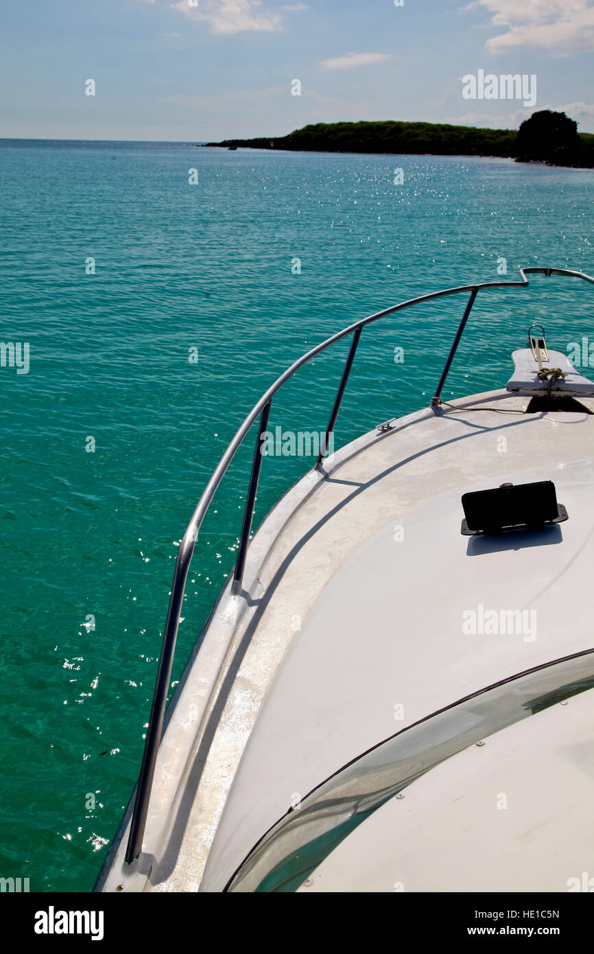 Galapagos island marine life hi-res stock photography and images - Alamy
