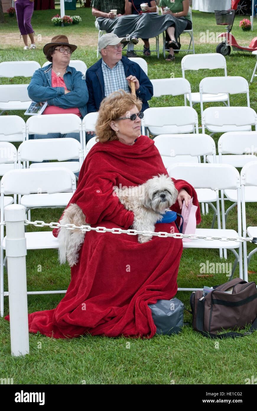 Woman with pet dog watches from seating Stock Photo - Alamy