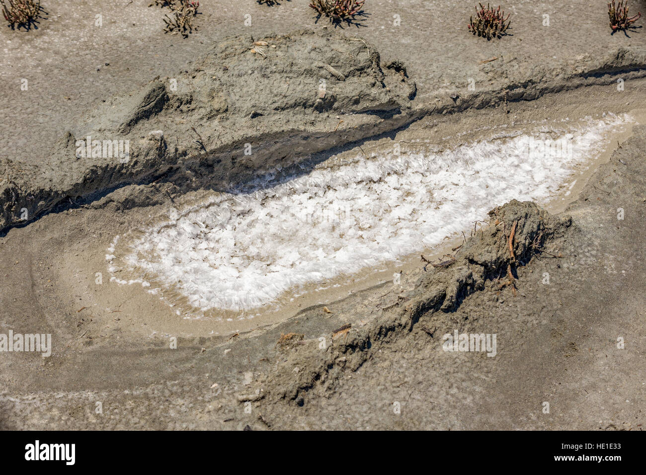 Sand with a tyre print and filled with salt deposit near the salt lake ...