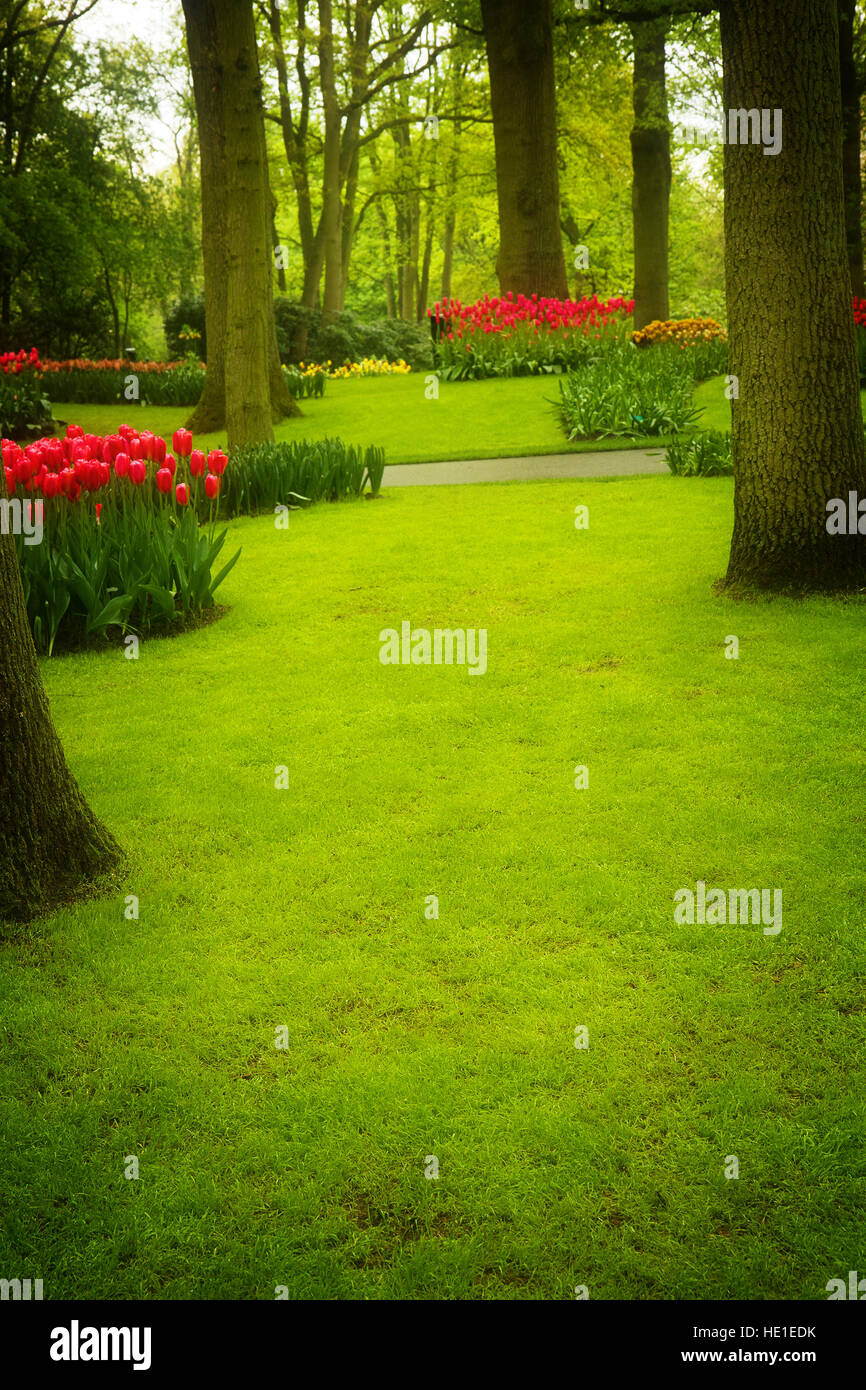 grass lawn in spring garden Stock Photo - Alamy